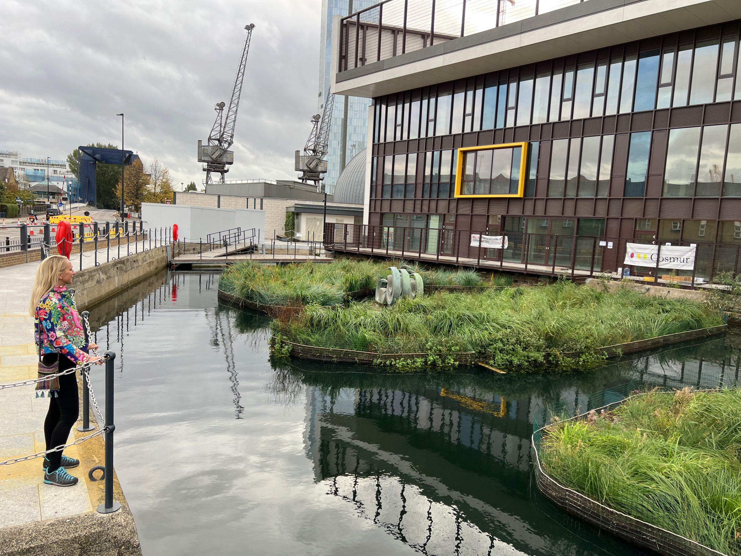Floating Farm Pond Docks
